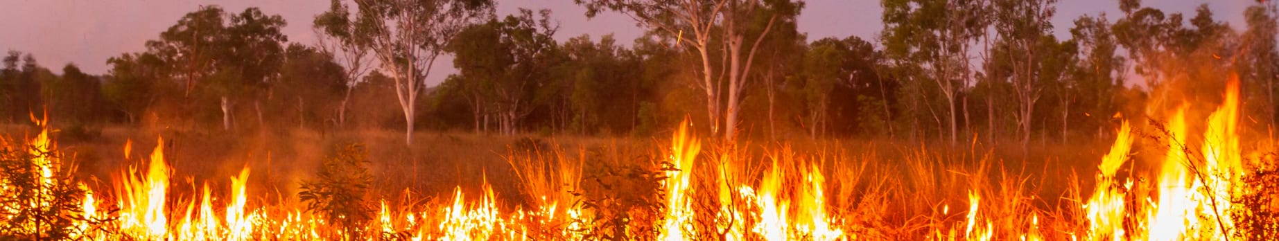 Rural Fire Fighting Equipment & Fire Safety Products: AWFS